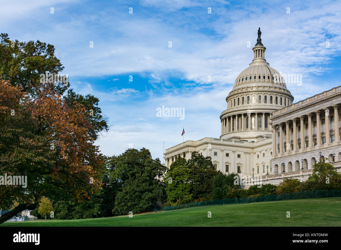 Daytime Landscape US Capitol Building Washington DC Grass Blue Sky ...