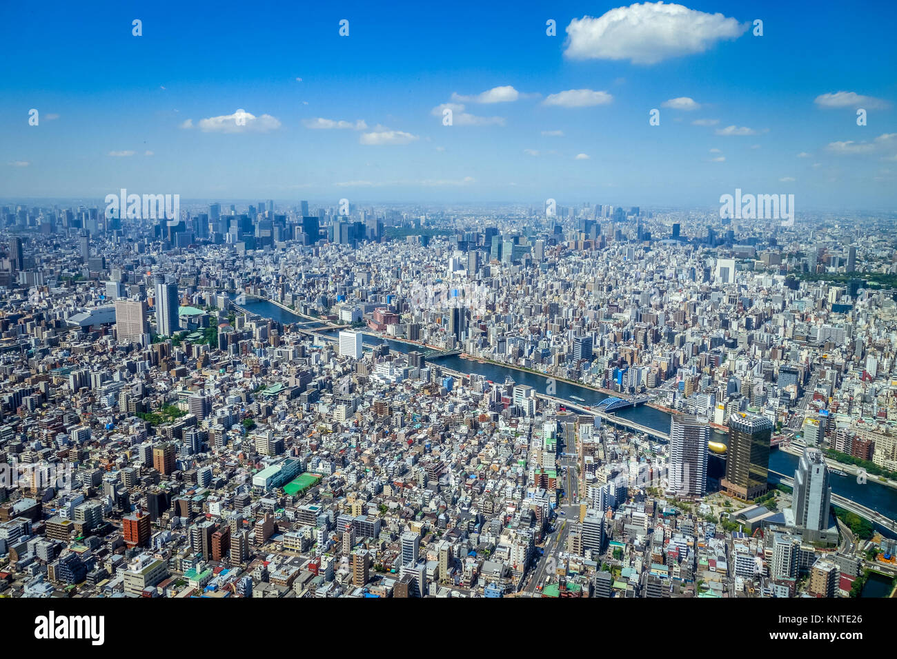 Tokyo city skyline panorama aerial view, Japan Stock Photo - Alamy