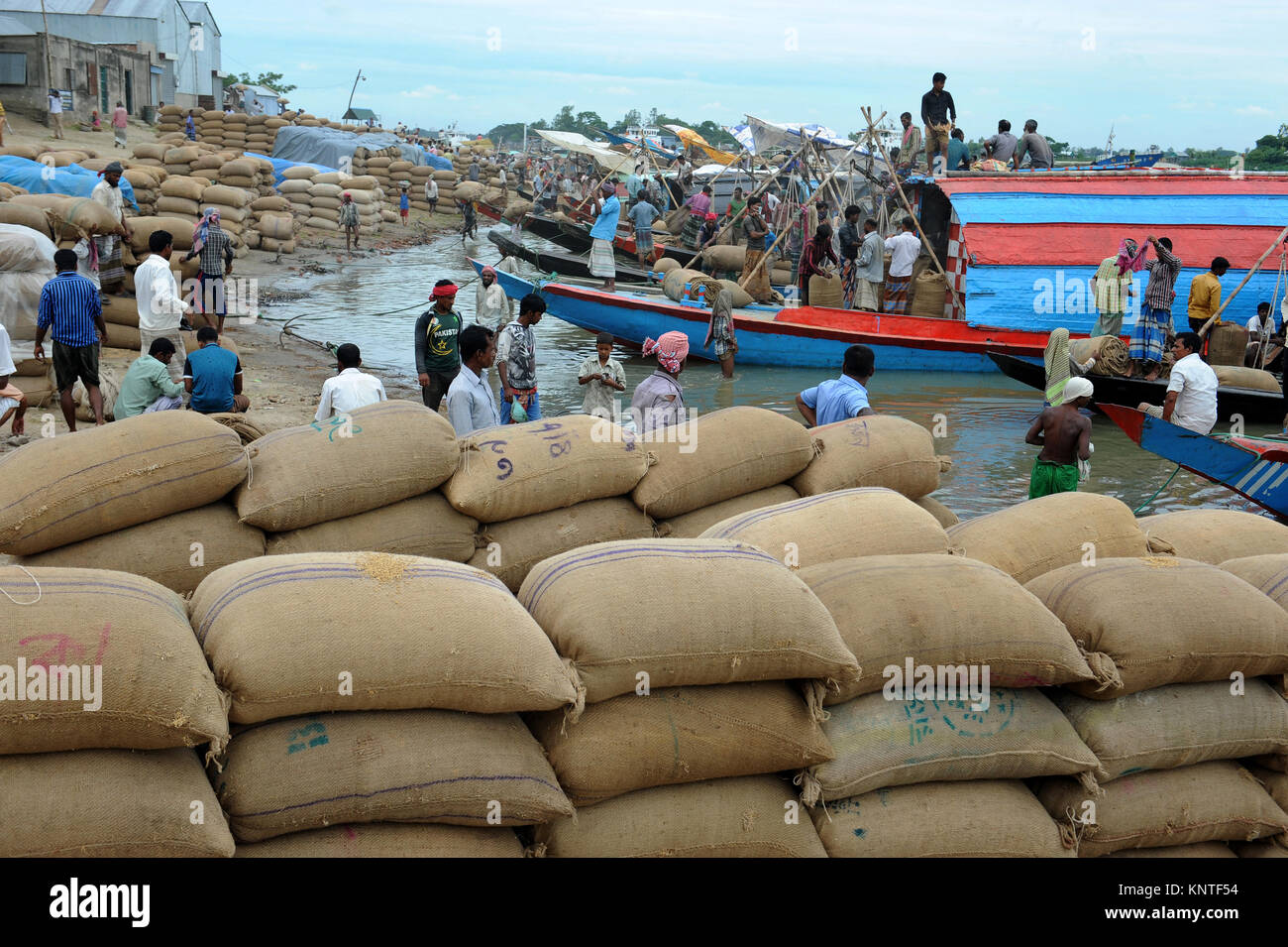 BRAHMANBARIA, BANGLADESH-JUNE 10, 2016: A Bangladeshi worker unload bag ...