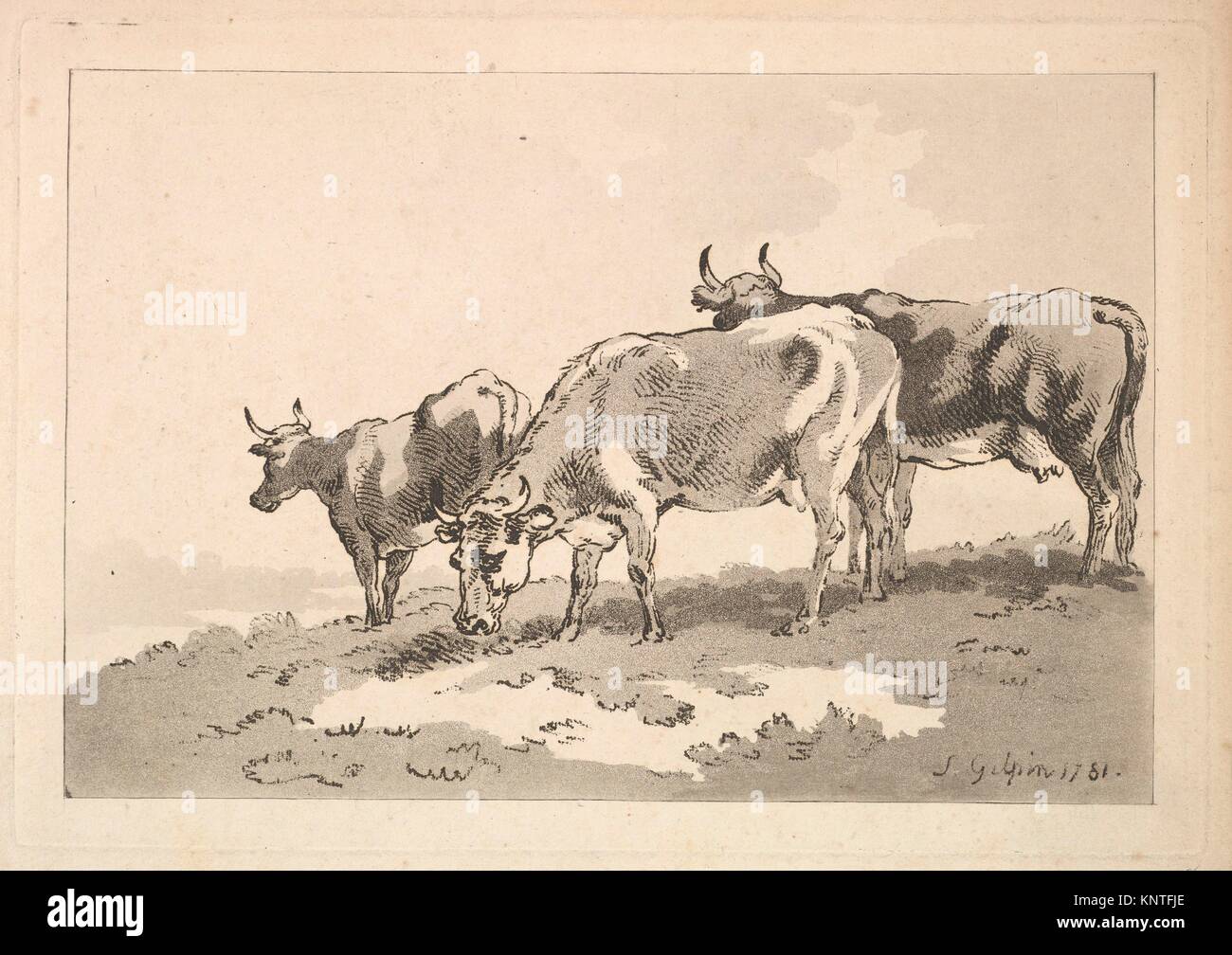 Cow Field Drawing Stock Photos & Cow Field Drawing Stock Images - Alamy
