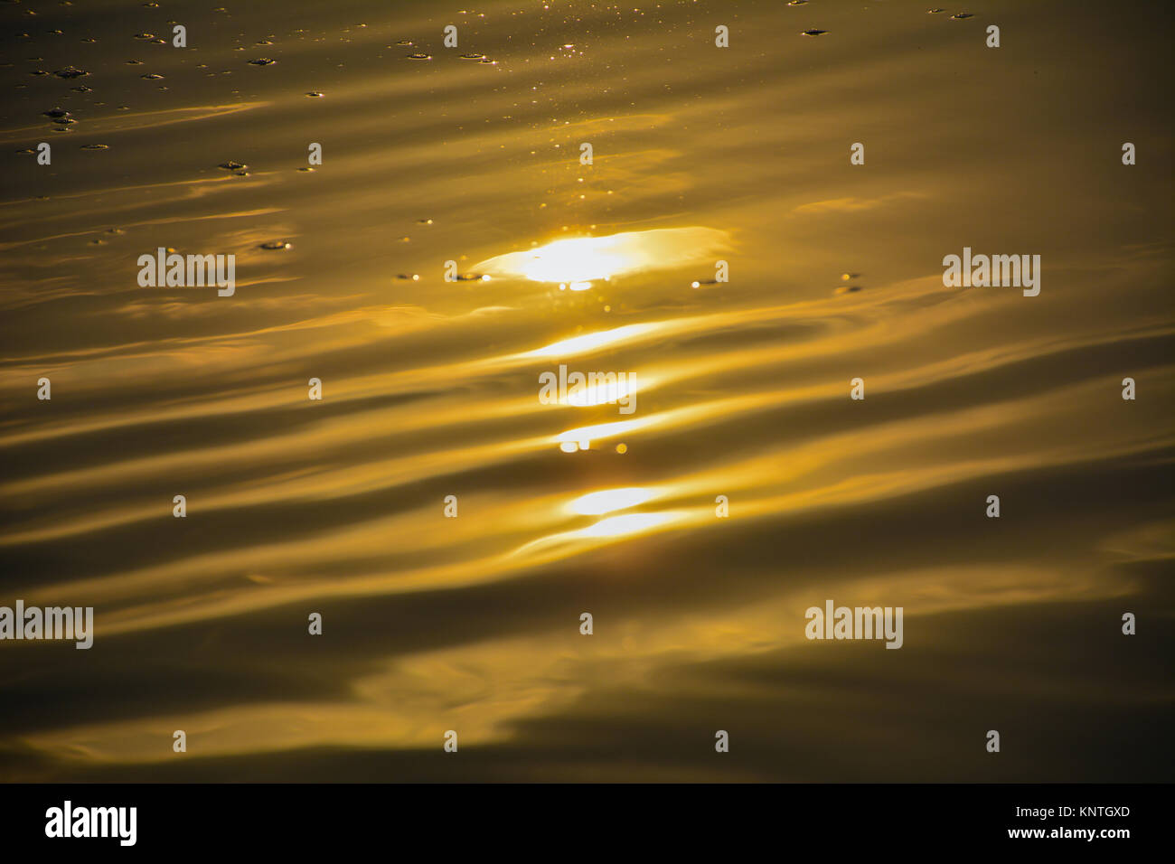 Golden sea water surface hi-res stock photography and images - Alamy