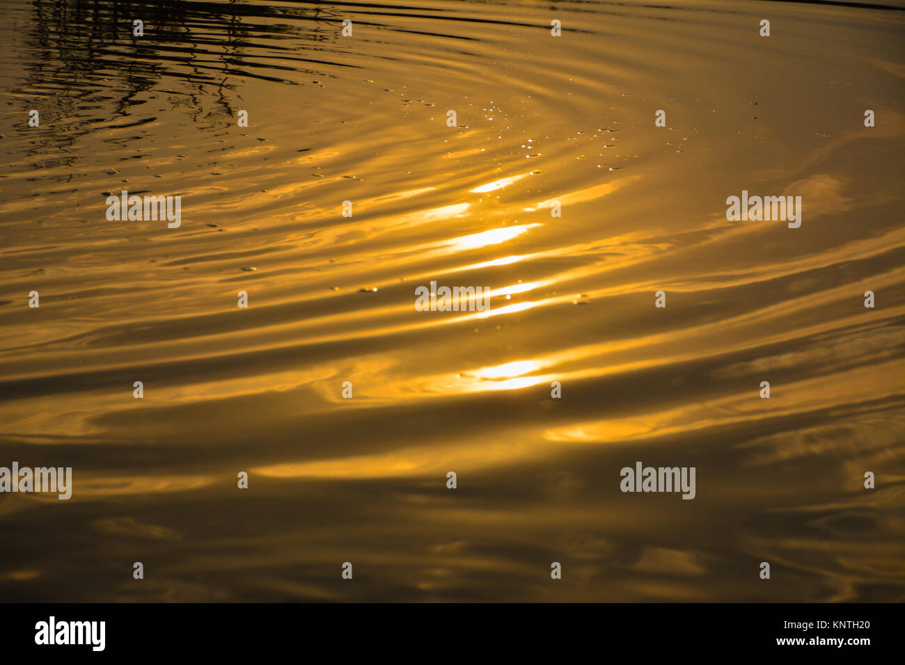 golden water wave reflection in sunset Stock Photo - Alamy