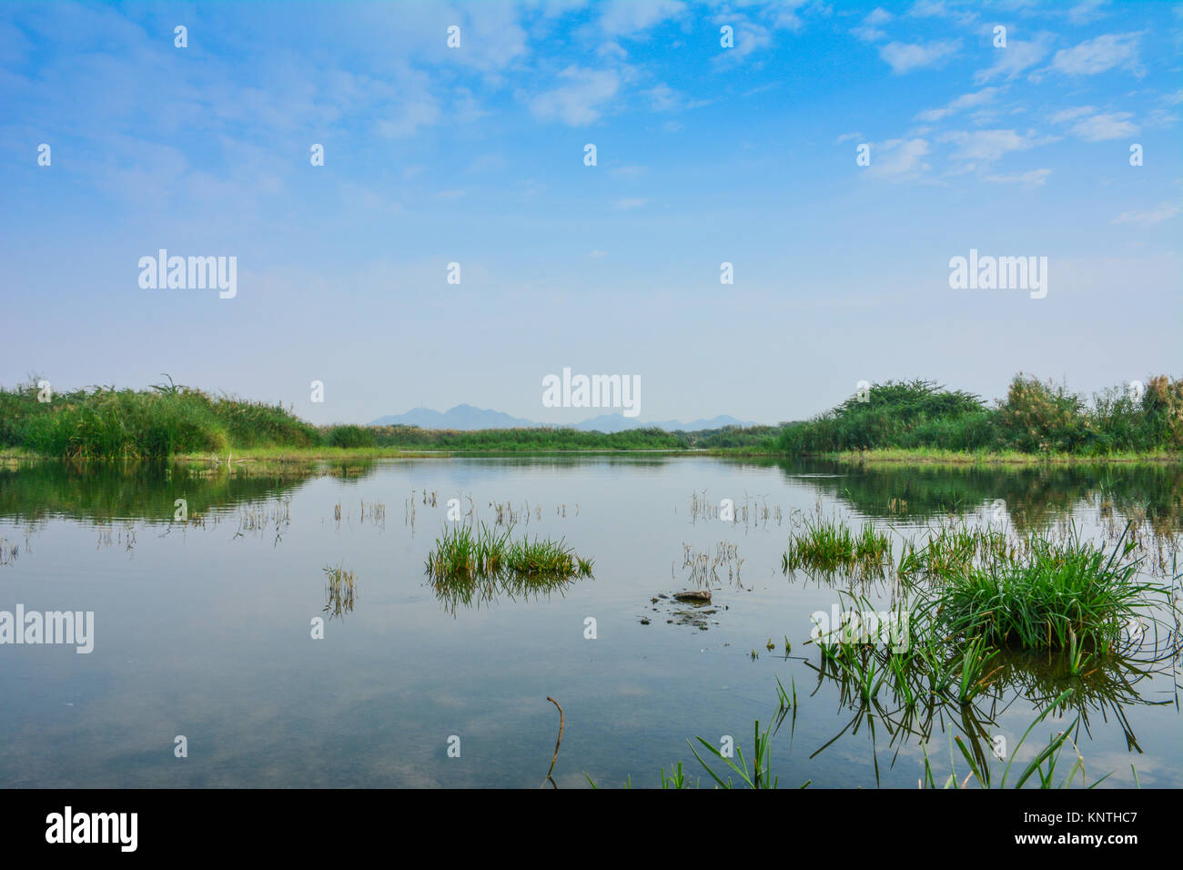 Saudi arabia desert coast hi-res stock photography and images - Alamy