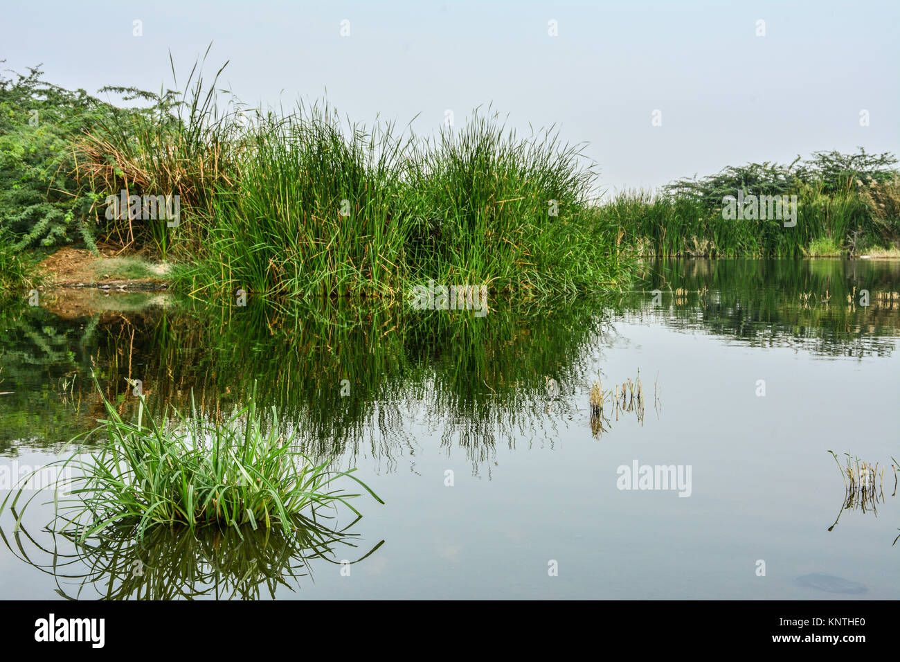 Saudi arabia desert coast hi-res stock photography and images - Alamy