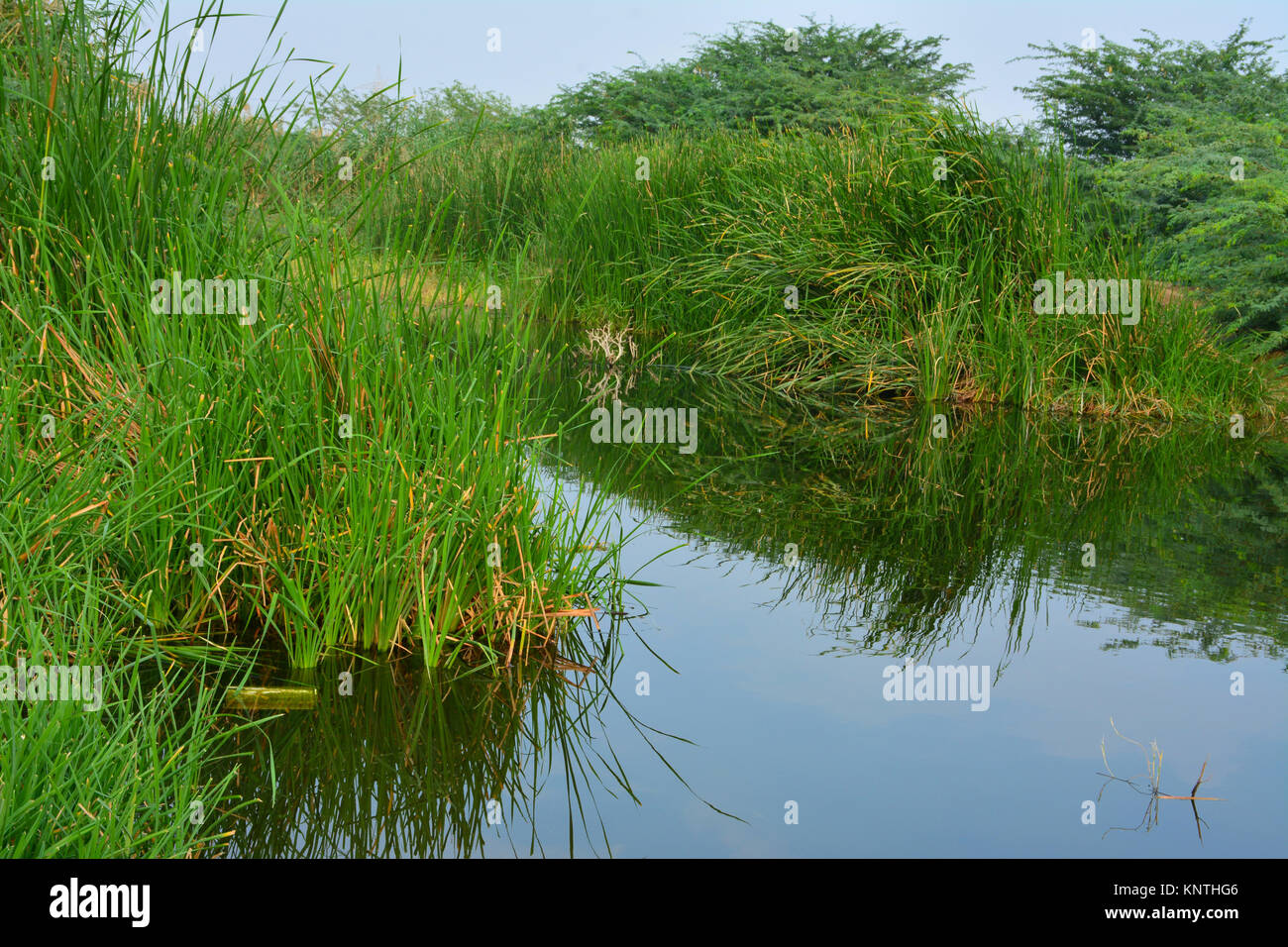 Saudi arabia desert coast hi-res stock photography and images - Alamy