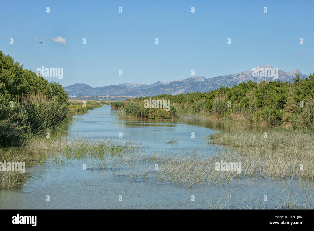 Mallorca wetlands S'Albufera Natural Park, Mallorca birds water ...