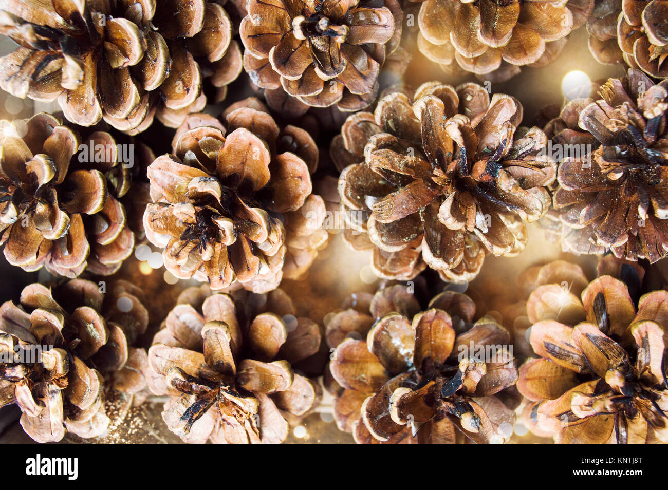 Bunch of pine cones on a pile in a box Stock Photo - Alamy