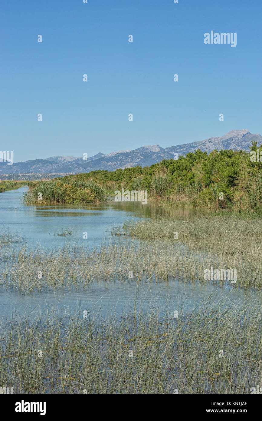 Mallorca wetlands S'Albufera Natural Park, Mallorca birds water ...