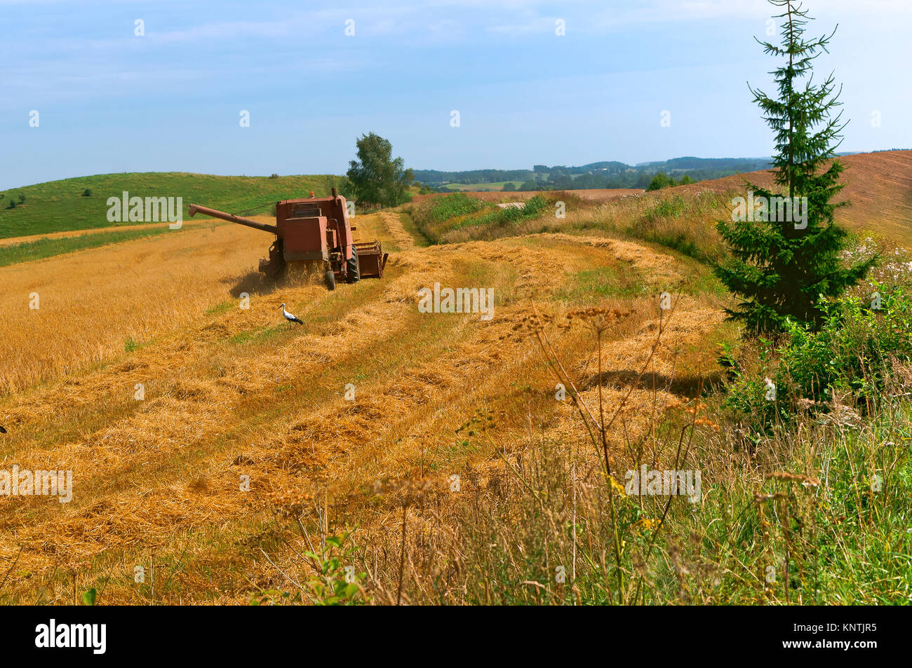 farm work, harvesting in the field, tractor working in the field Stock ...