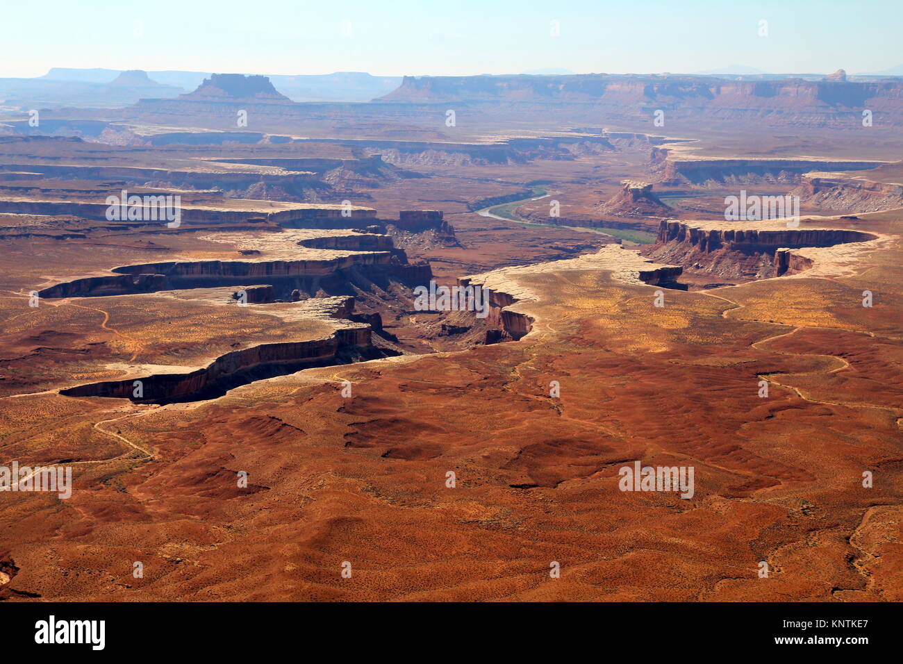 Dried out tree stump Arches National Park Stock Photo - Alamy