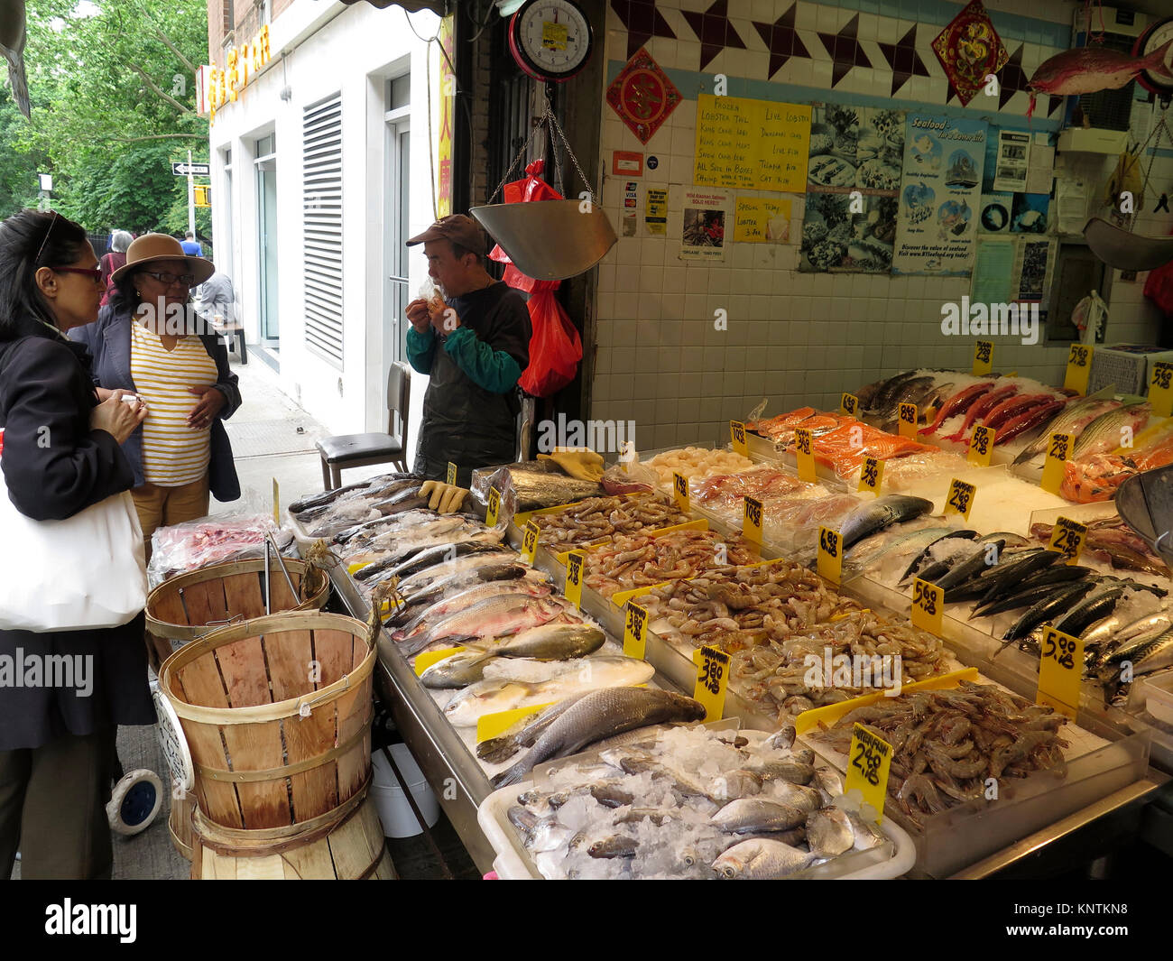 Fish on Coney Island, Brooklyn, New York, USA Stock Photo - Alamy