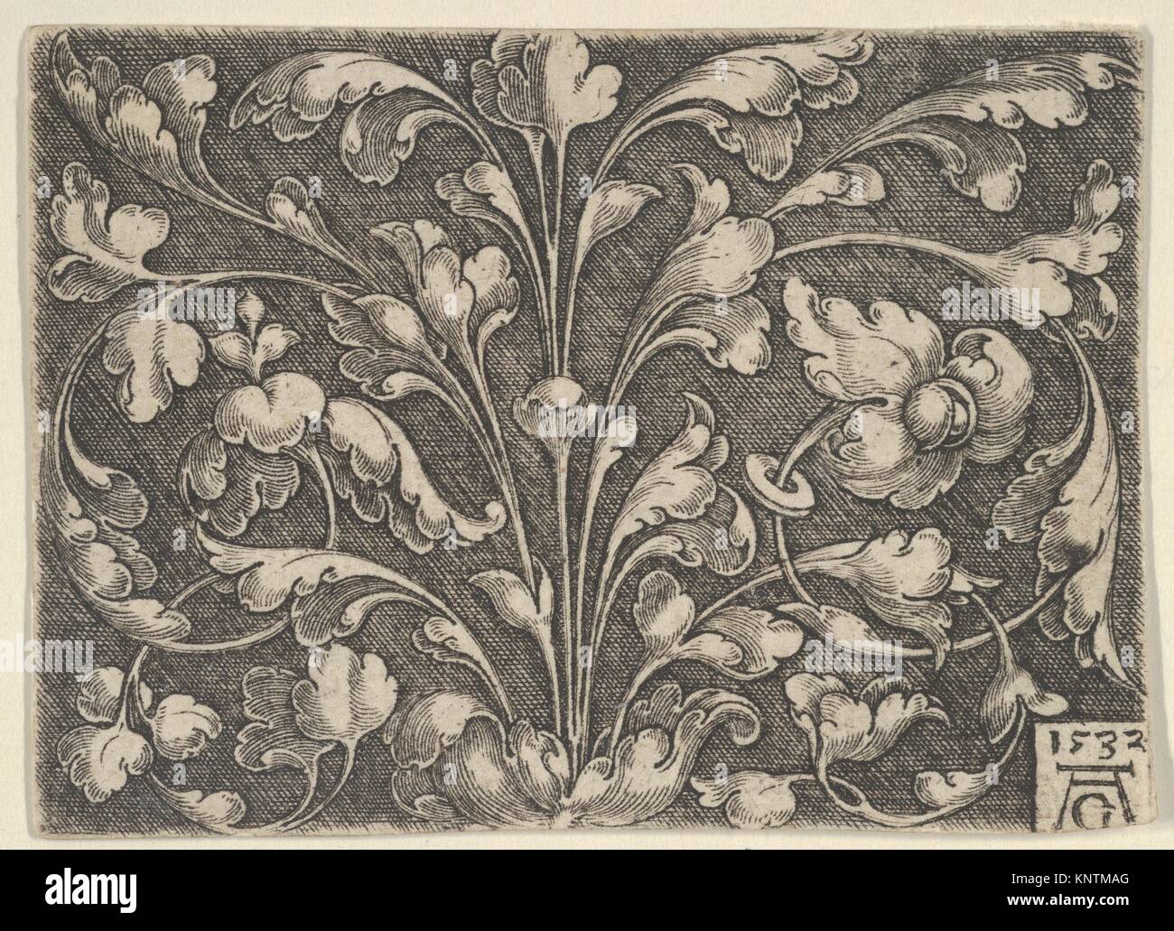 Bottom Line Two Tendrils High Resolution Stock Photography and Images ...