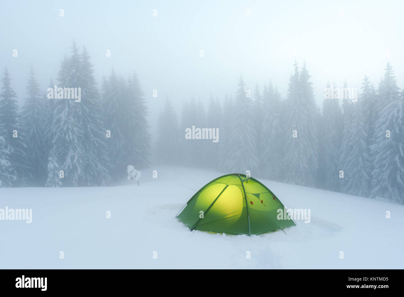 Green tent lighted from the inside Stock Photo - Alamy