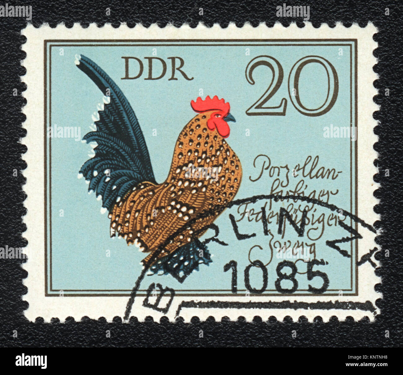 A stamp printed in DDR shows rooster, circa 1982 Stock Photo - Alamy
