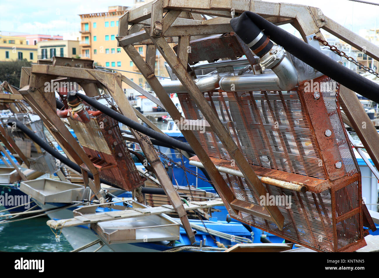 Local fishing boat, a catch of shellfish, especially oysters and whelks ...