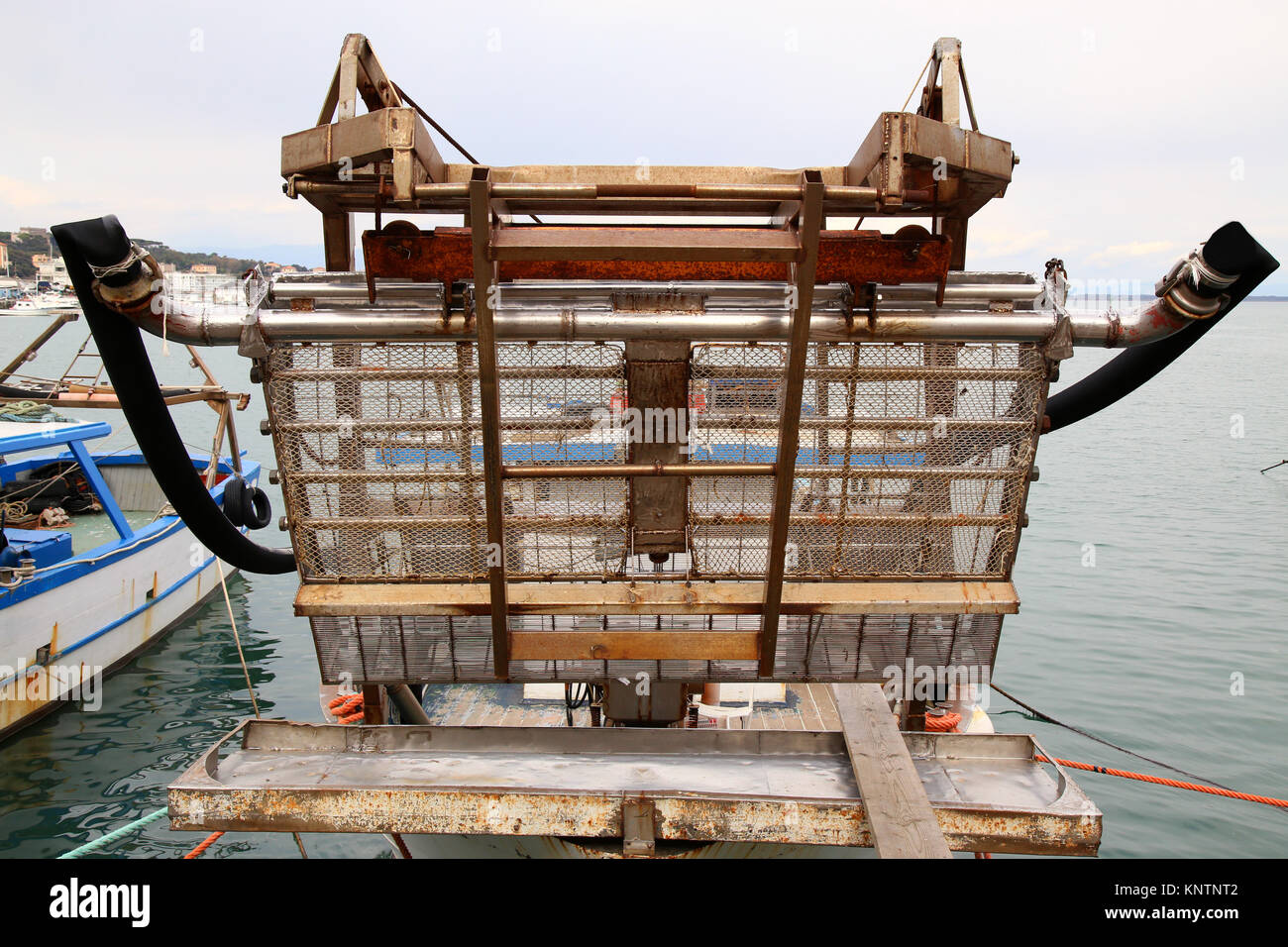 Local fishing boat, a catch of shellfish, especially oysters and whelks ...