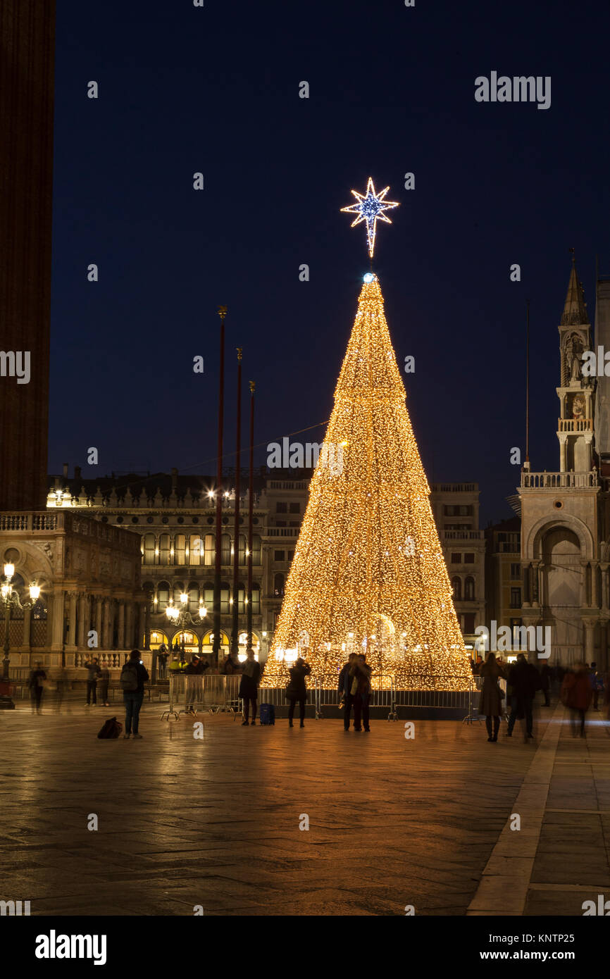 People admiring the illuminated Christmas Tree in Piazza San Marco, San ...