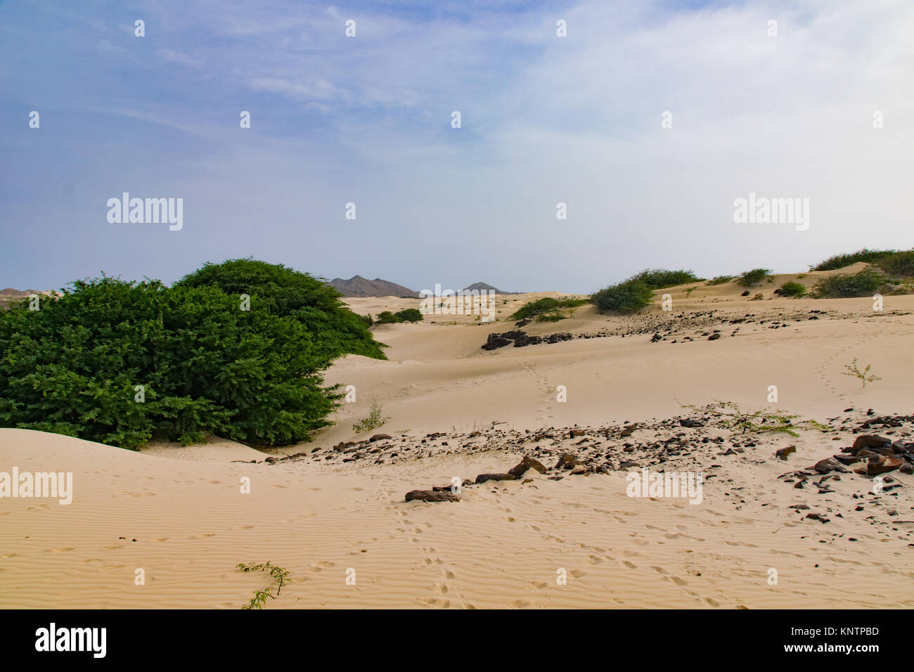 Viana Desert, Boa Vista, Cape Verde. Sand is carried from the Sahara ...