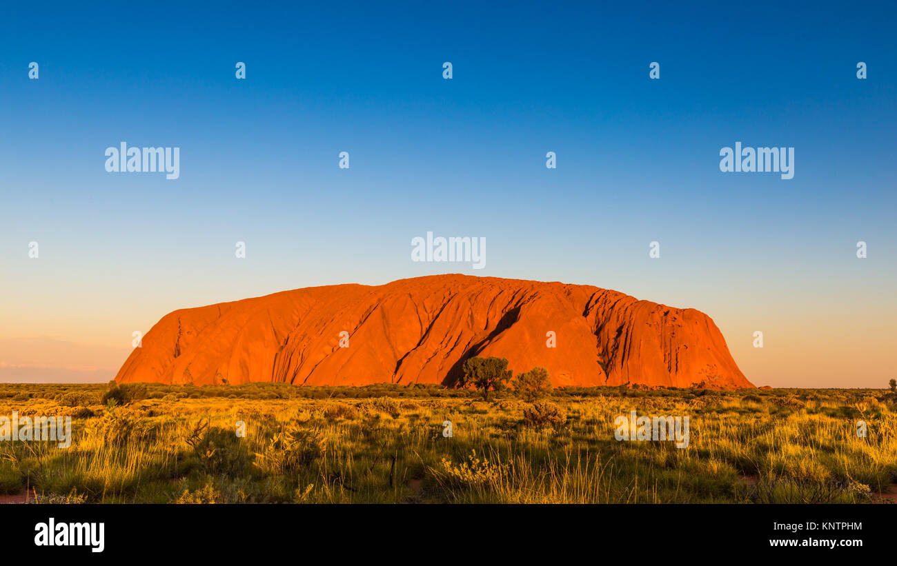 Uluru at sunset, Australia Stock Photo - Alamy