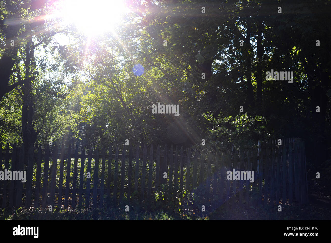 countryside open gate public pathway wooden fence Stock Photo - Alamy