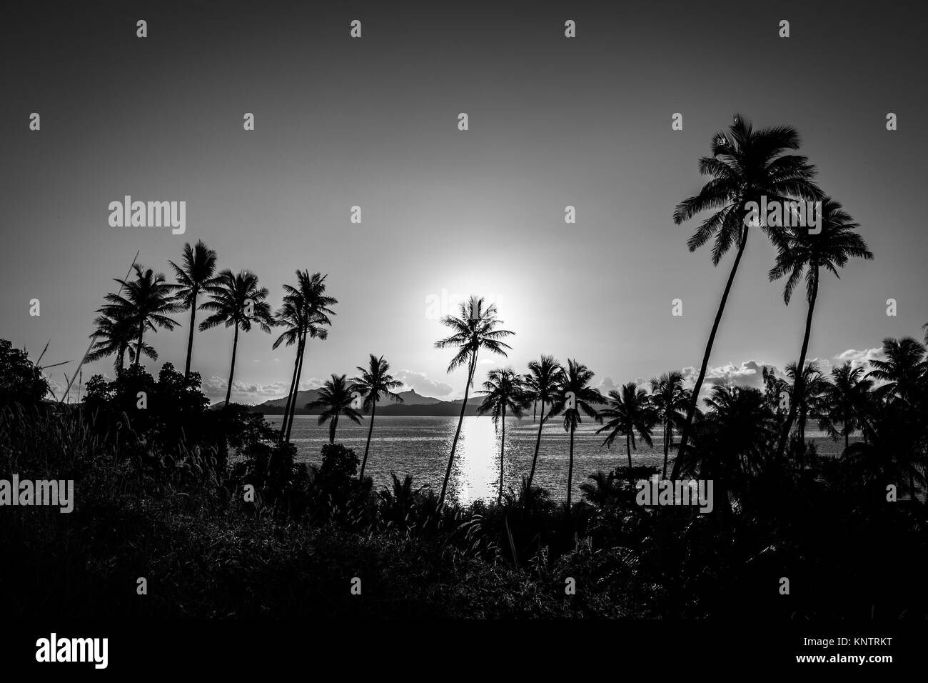 Sunset fiji Black and White Stock Photos & Images - Alamy