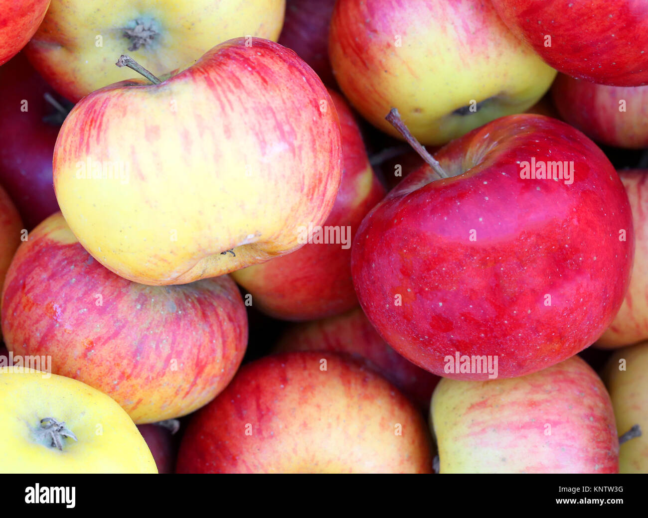 background of many red ripe apples Stock Photo - Alamy