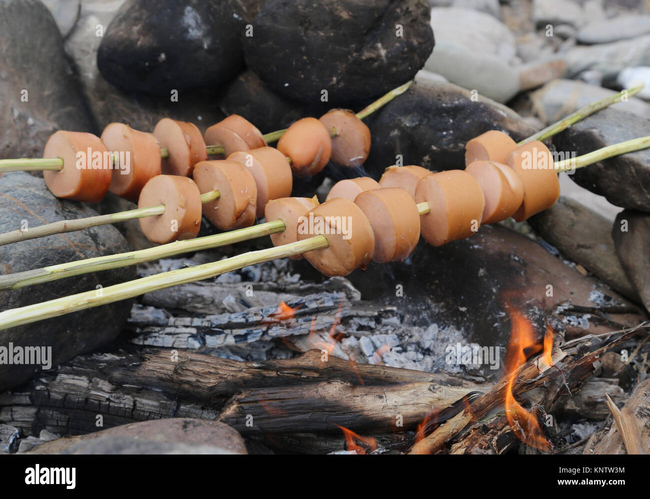 bonfire created with stones for cooking wurstel during boy scout camp ...