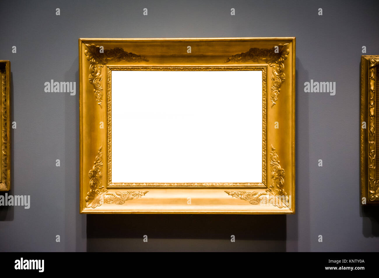 Showroom exhibition room gallery display hi-res stock photography and ...