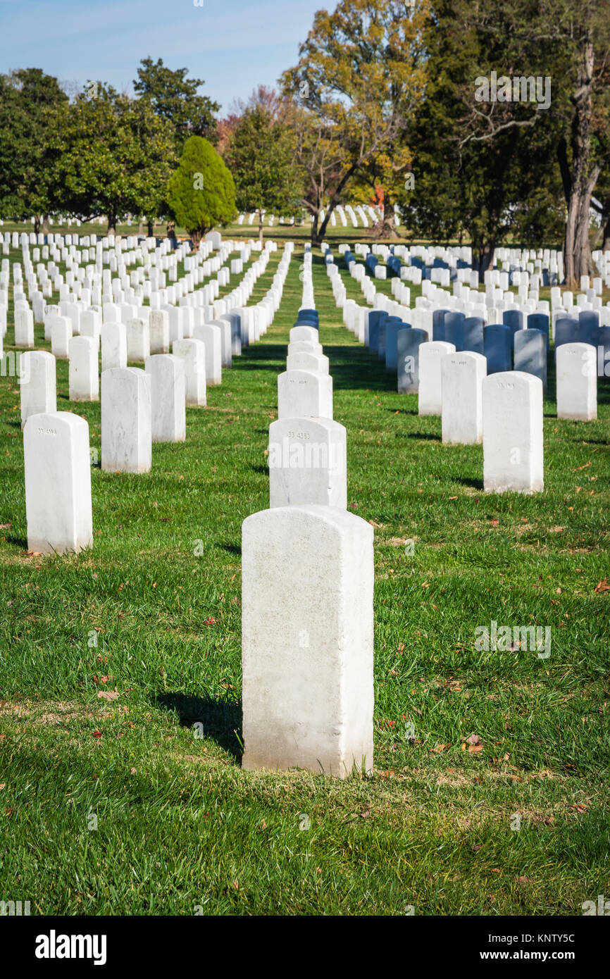 Single Closeup Gravestone Texture Surface Arlington National Cemetery ...