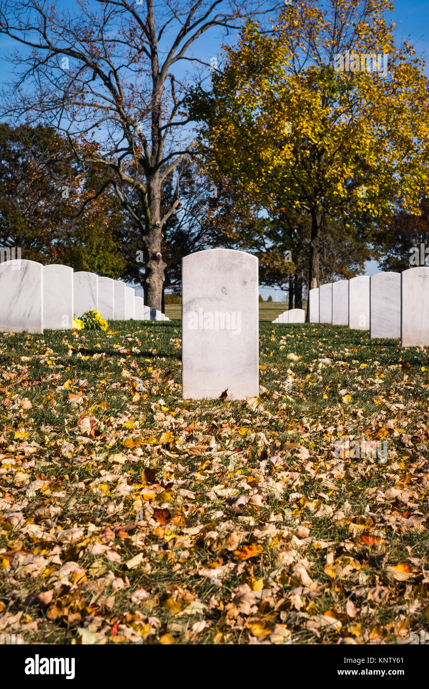 Single Closeup Gravestone Texture Surface Arlington National Cemetery ...