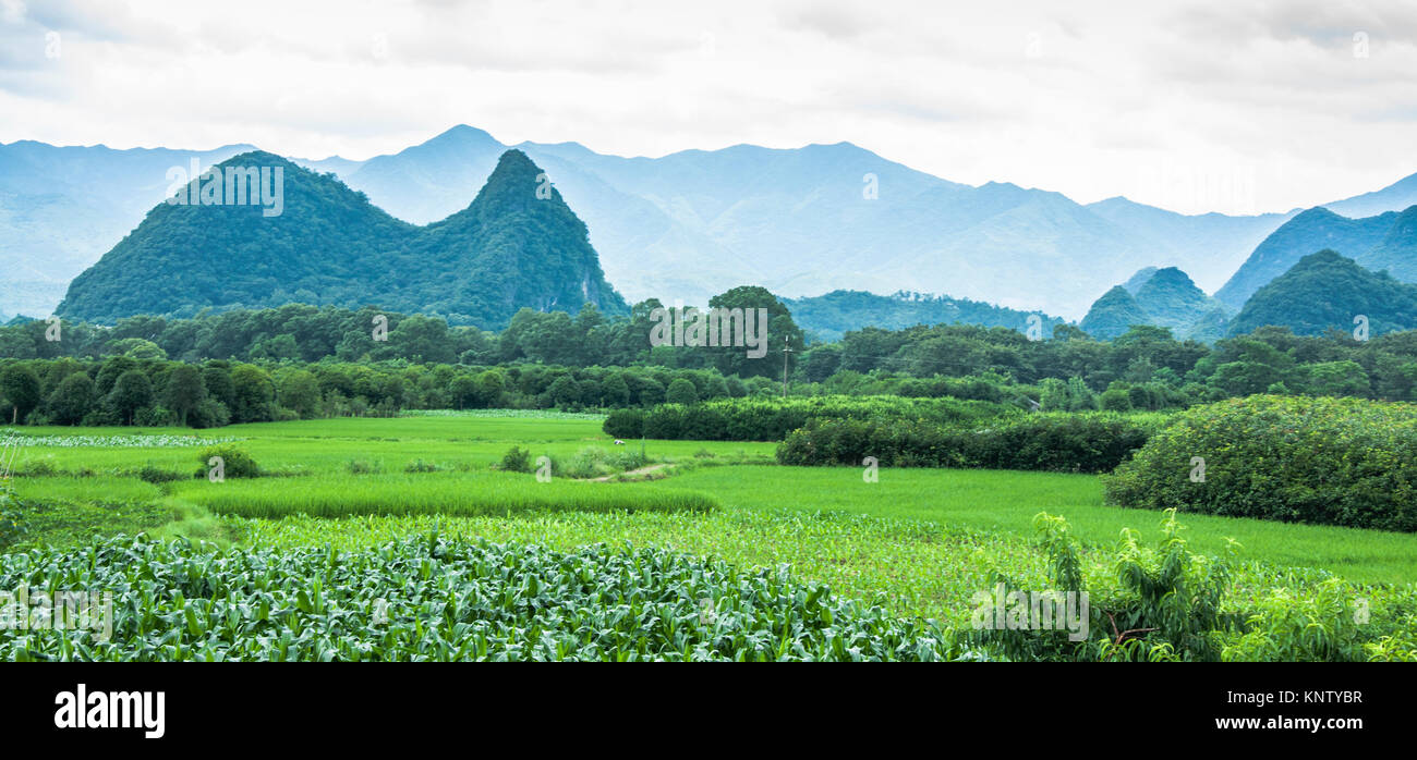 Beautiful rural scenery in summer Stock Photo - Alamy