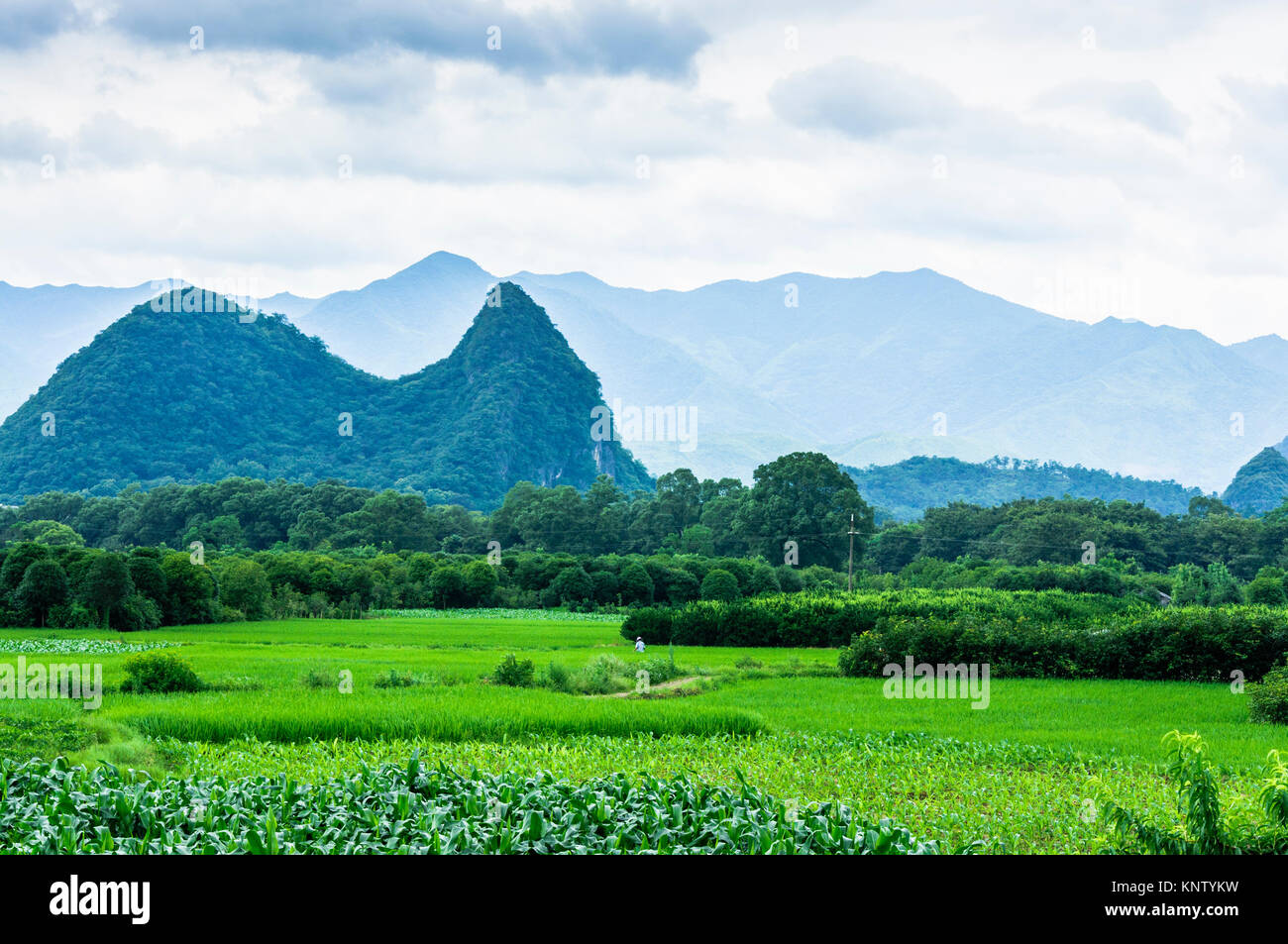 Beautiful rural scenery in summer Stock Photo - Alamy