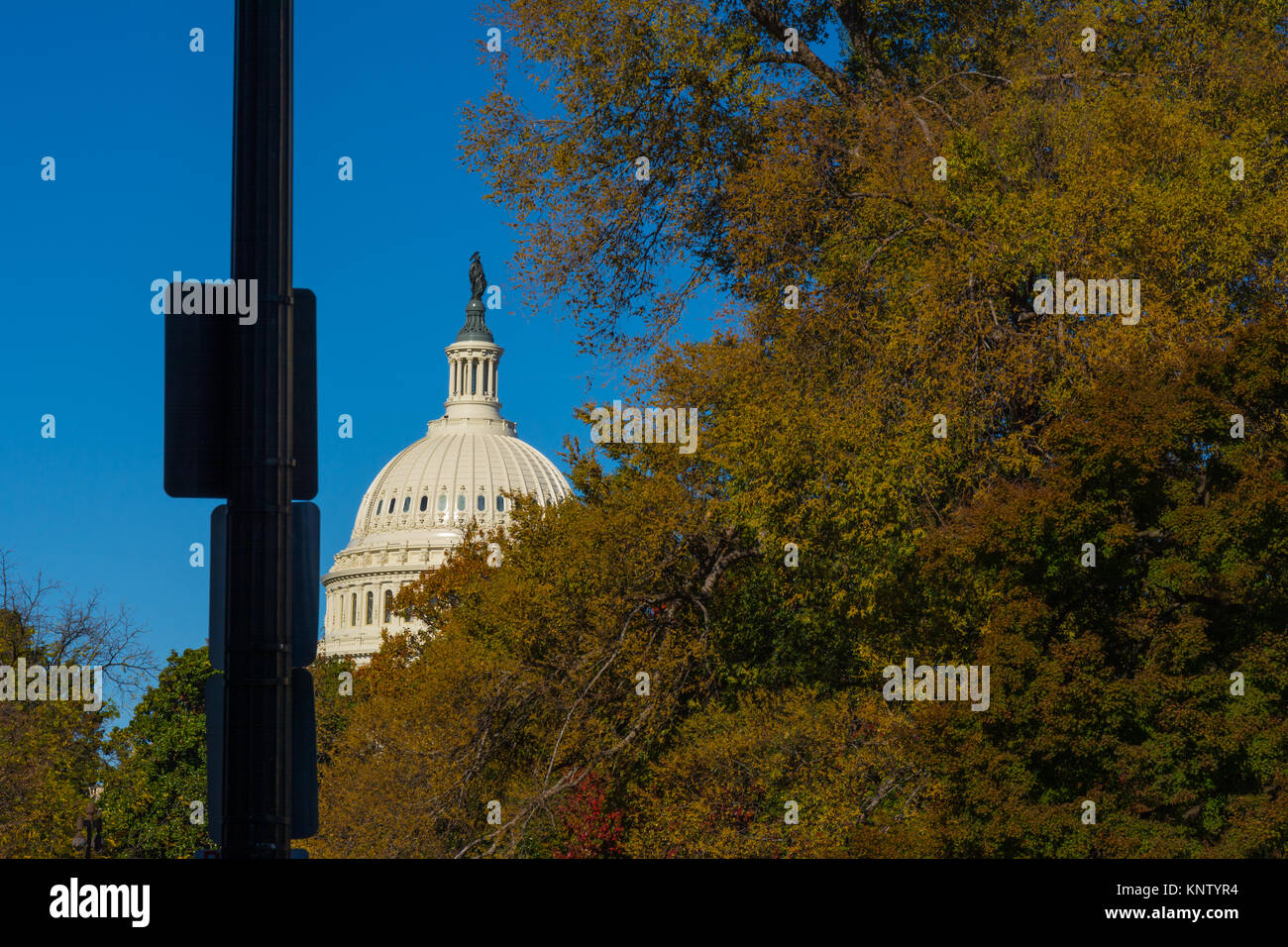 Washington DC Capitol Dome Building Exterior New Trees Leaves Column ...
