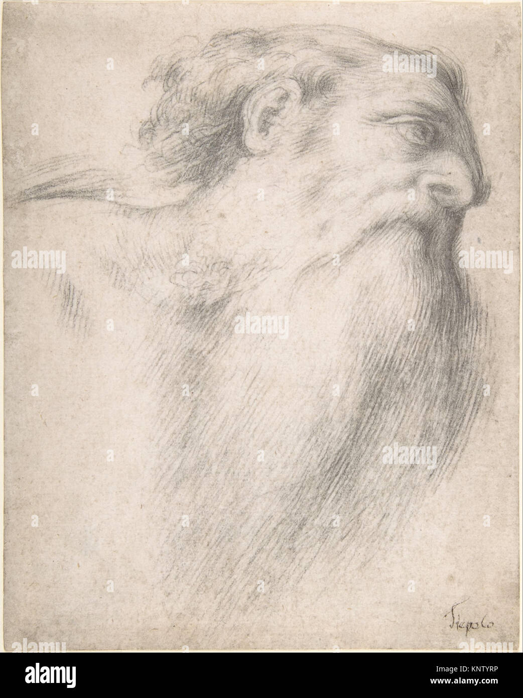 Head of a Bearded Man MET DP810264 340325 Stock Photo - Alamy