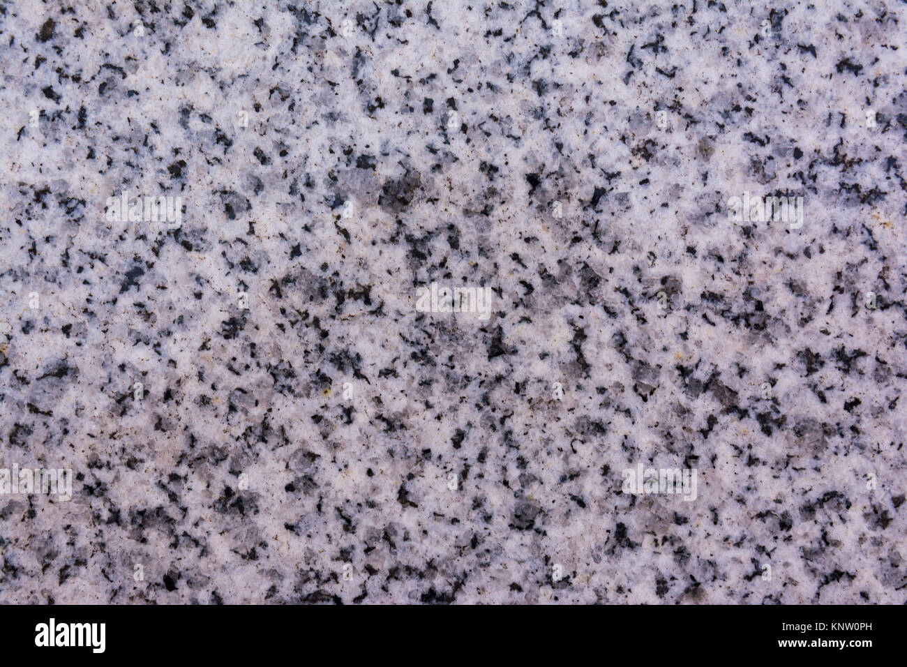 Grey Marble Spotted Texture Background Surface White Material Stock ...