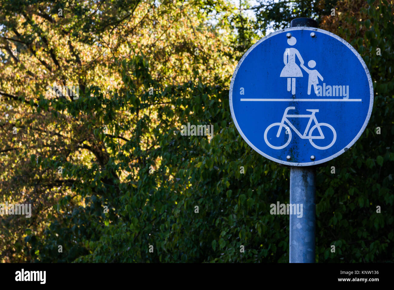 Pedestrian Walking Zone Sign Mother Bicycle Blue Traffic European Stock ...