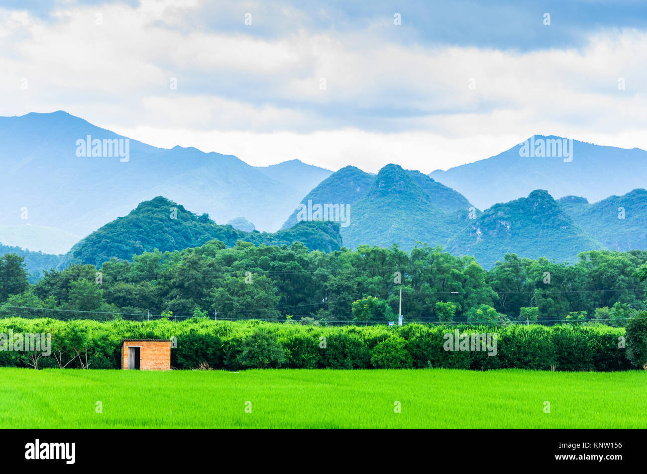 Beautiful rural scenery in summer Stock Photo - Alamy