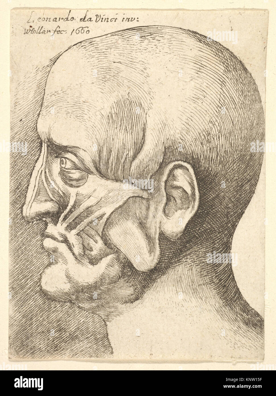 écorché man hi-res stock photography and images - Alamy