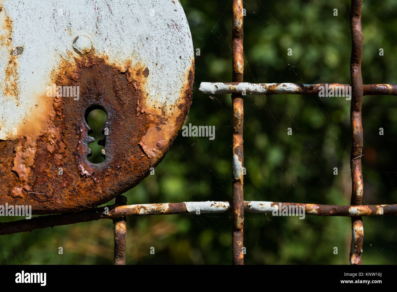 Rusted Garden Lock Metal Texture Background Abstract Security Stock ...