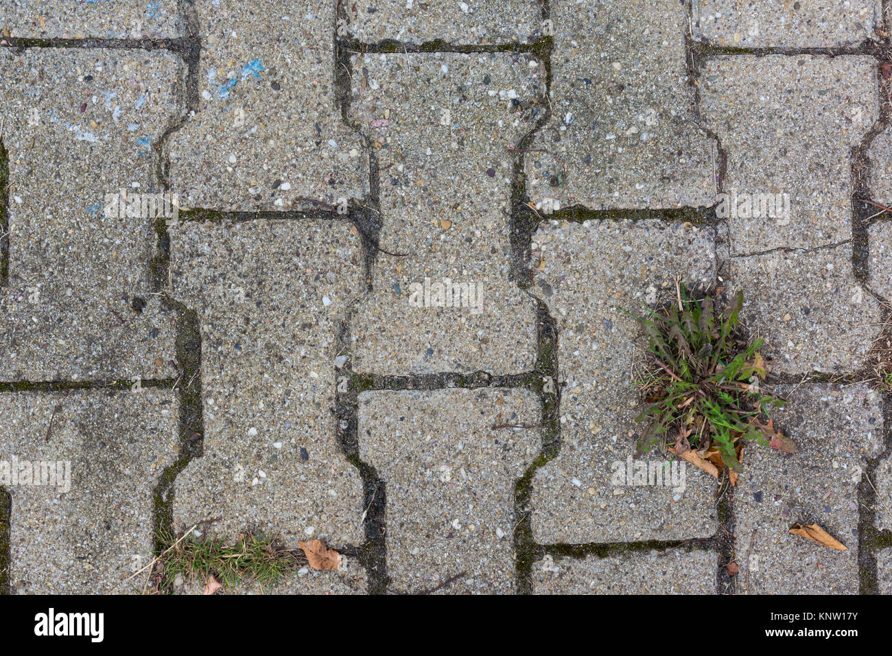 Sidewalk Tile Concrete Stone Rough Grey Texture Weed Outdoors Stock ...