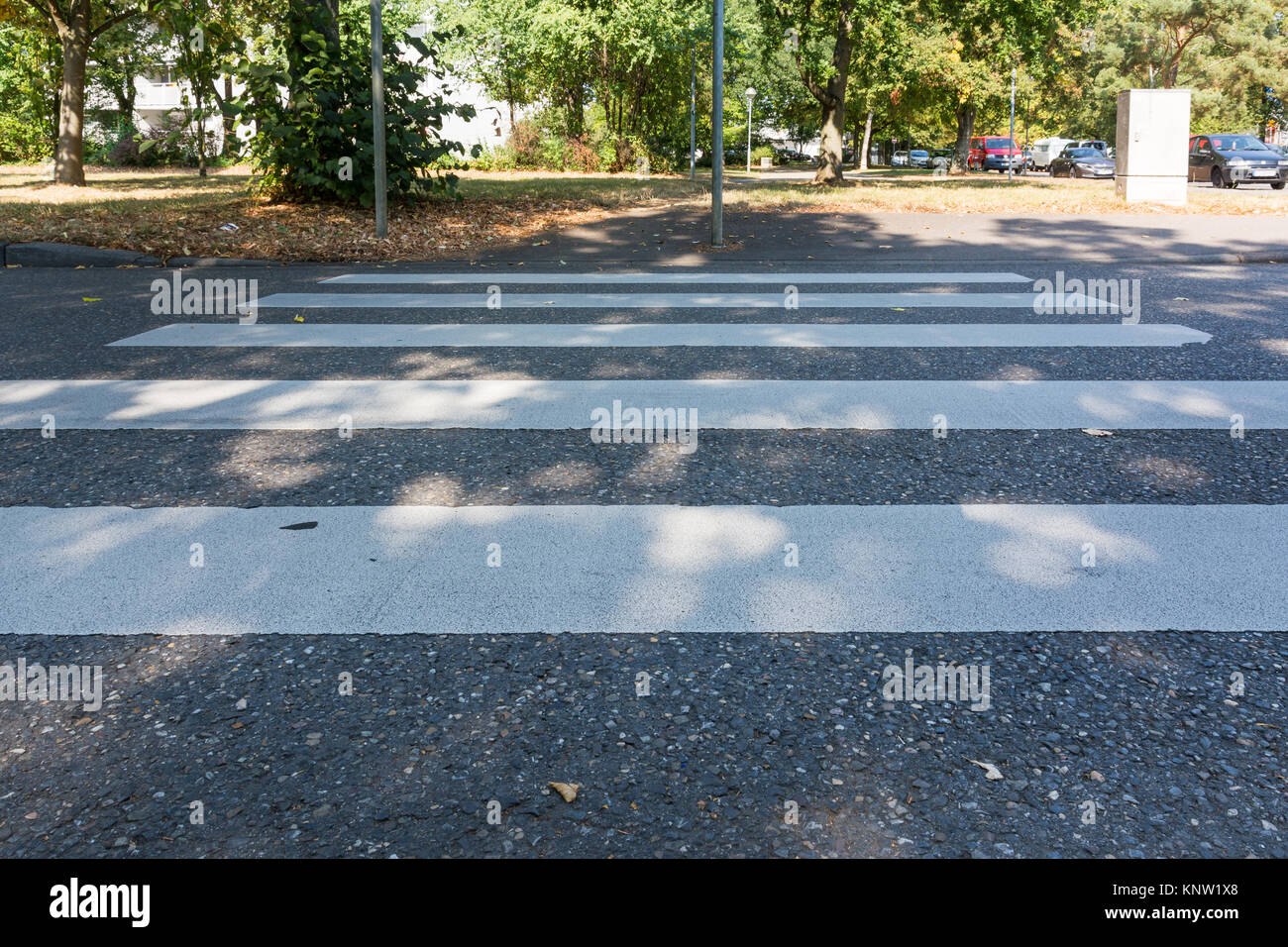 Zebra Stripes Road Traffic Right of Way Pedestrian Asphalt Street Stock ...