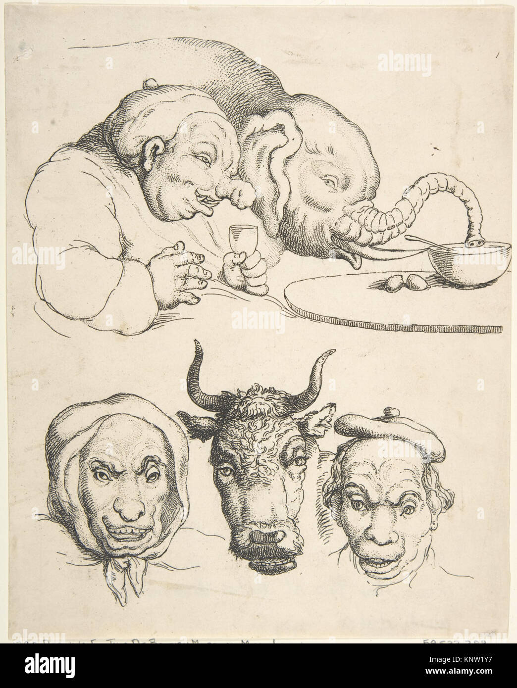 Illustration of comparative anatomy showing skeletal and muscular structures of different ...