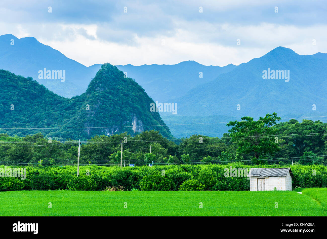 Beautiful rural scenery in summer Stock Photo - Alamy