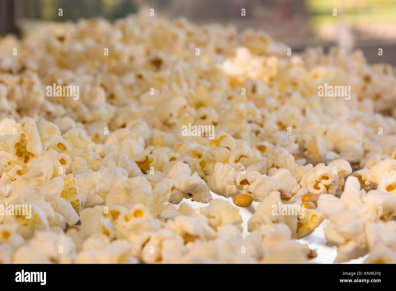 Popcorn Closeup Texture Yellow Fresh Ground Food Kernel Stock Photo - Alamy
