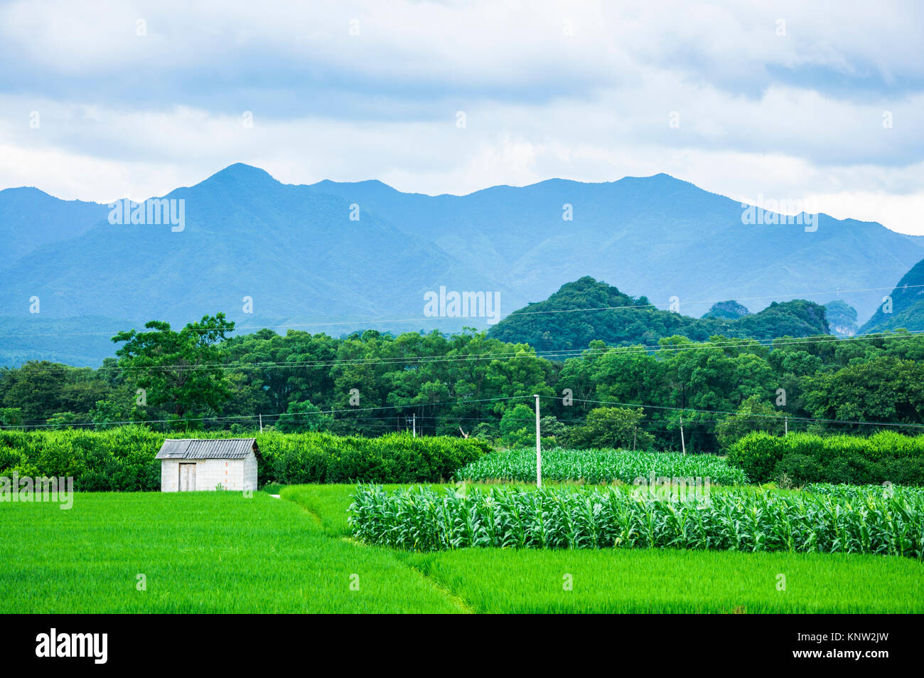 Beautiful rural scenery in summer Stock Photo - Alamy