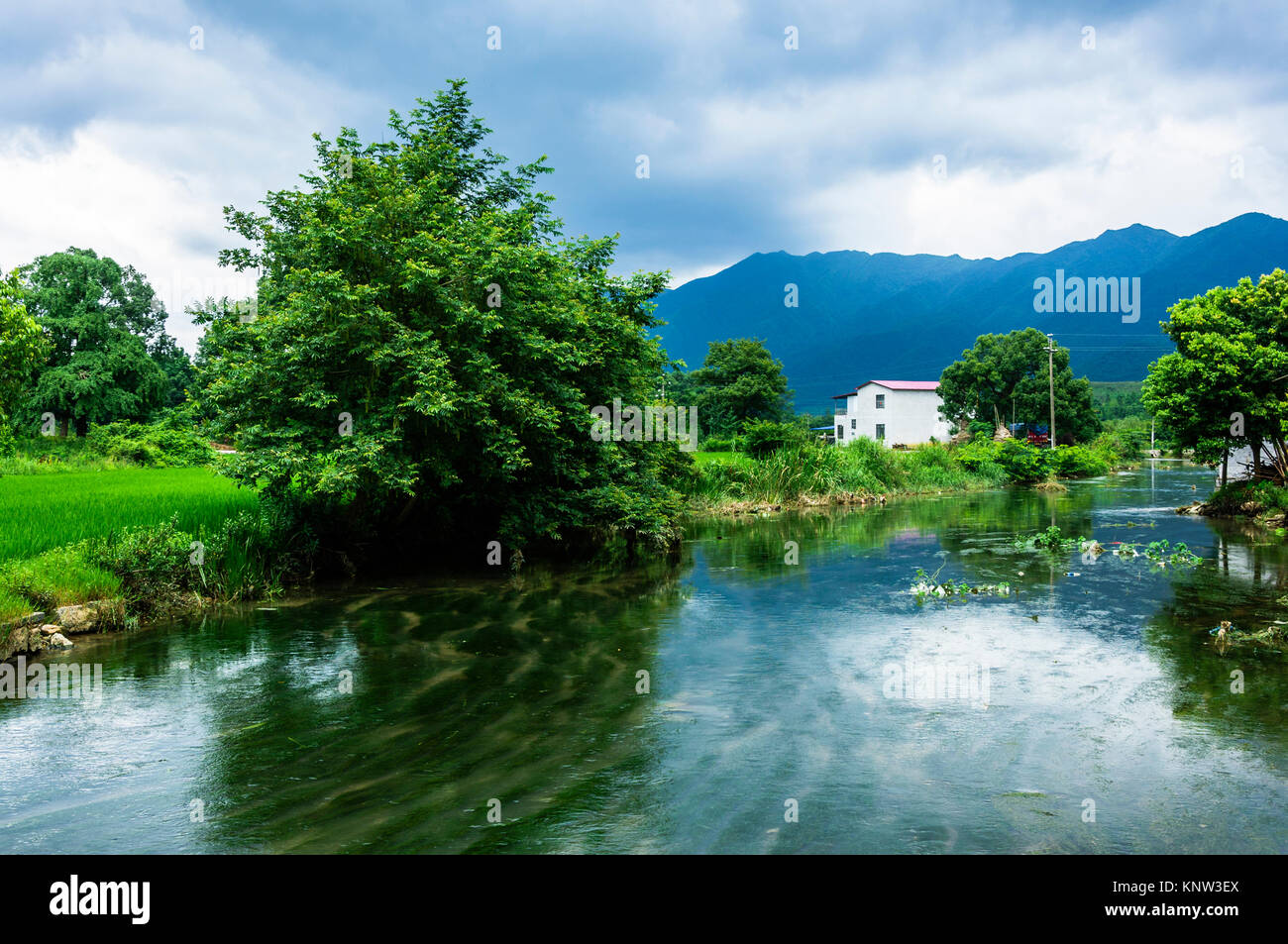 Beautiful rural scenery in summer Stock Photo - Alamy