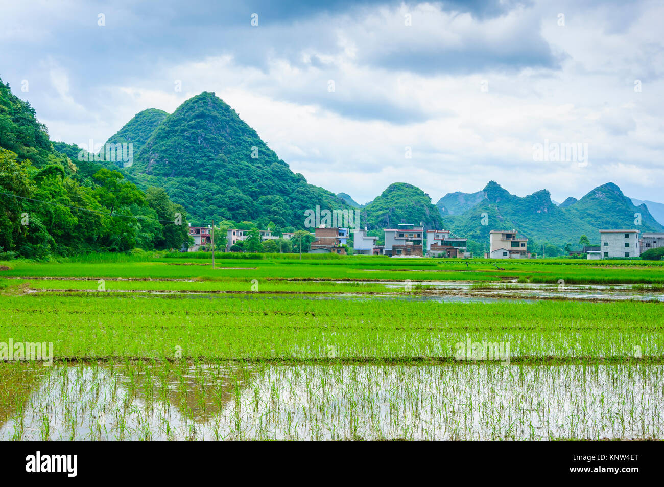 Beautiful rural scenery in summer Stock Photo - Alamy