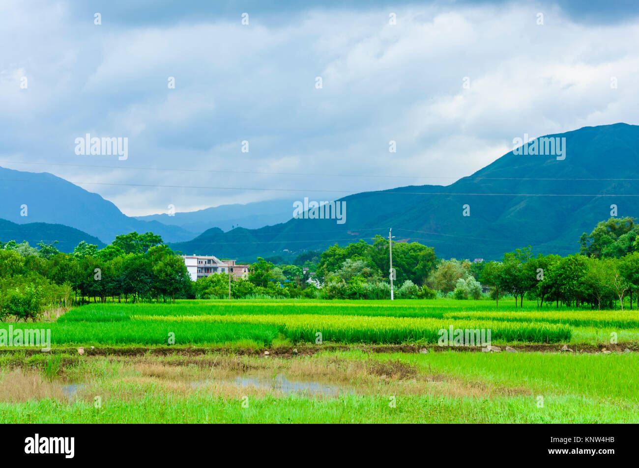 Beautiful rural scenery in summer Stock Photo - Alamy