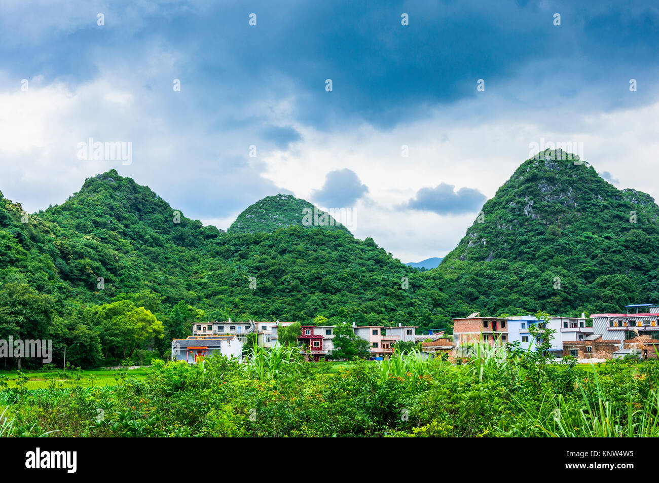 Beautiful rural scenery in summer Stock Photo - Alamy