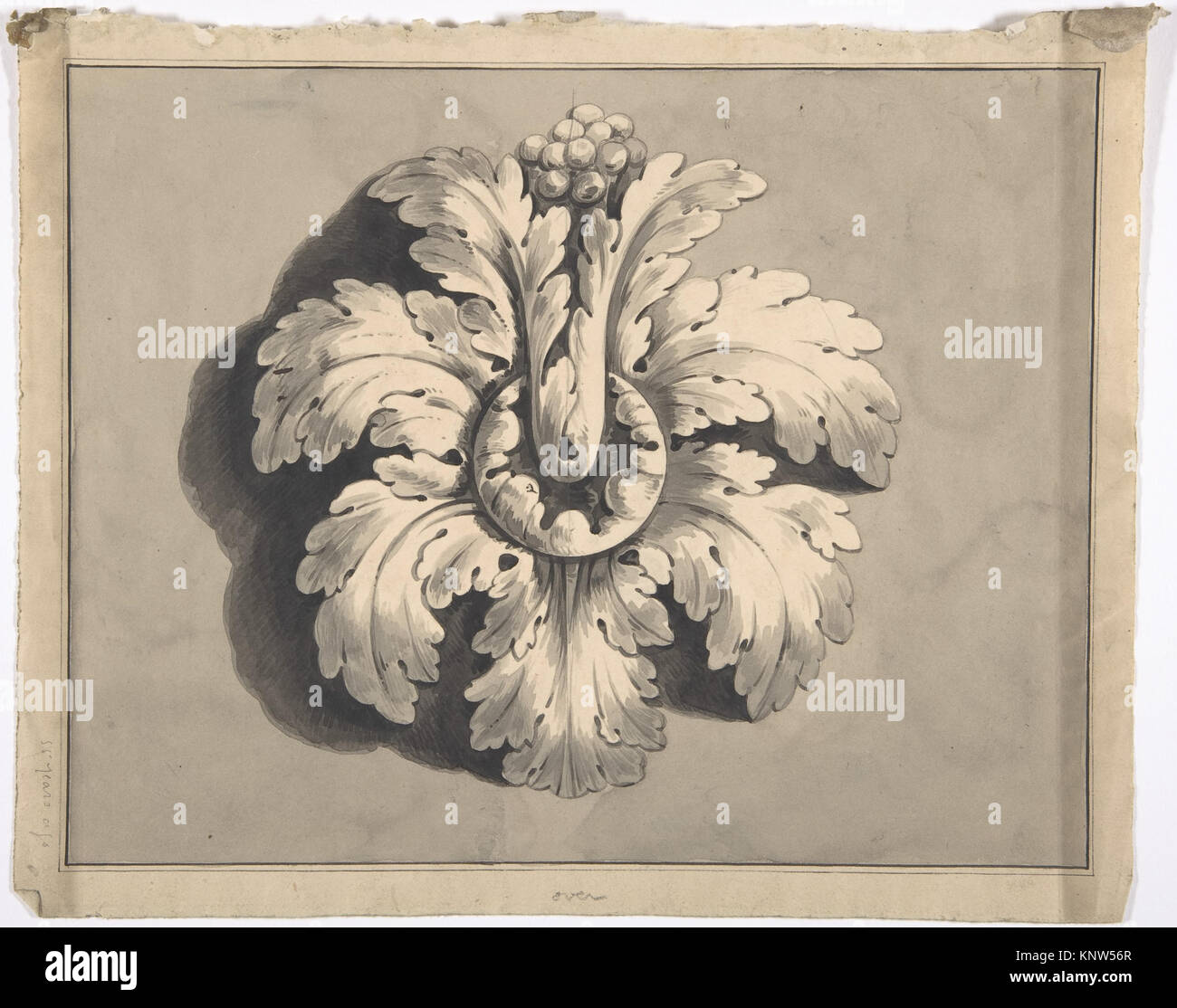 Illustration showing a detailed acanthus carving on a boss ...